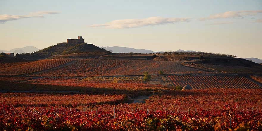 Vins de Rioja : 7 choses à savoir sur cette région d'Espagne
